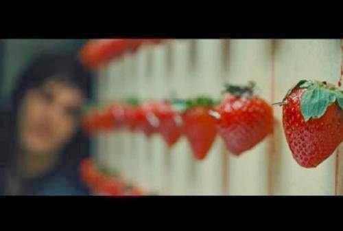 Lectoras Aficionadas y Chilenas : Reseña: Campos de Fresas - Jordi ...