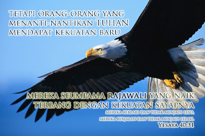 Rajawali | Wallpaper Alkitab