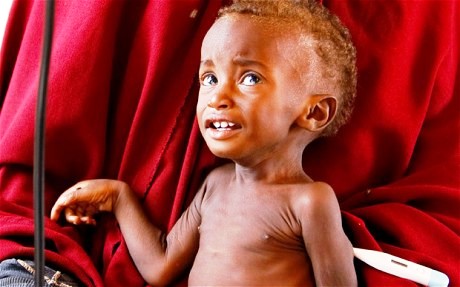 WHO, WHAT, WHY: WHAT IS A FAMINE? | World Of The World