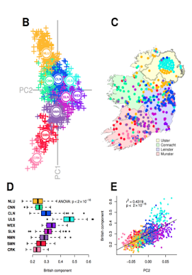 bensozia: Irish Genes
