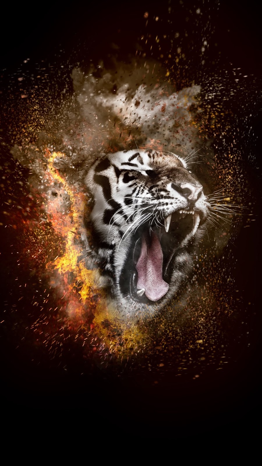 Animals - Tiger, grin : id 46112 - HD Wallpapers