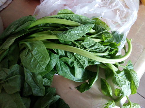 My everyday life health: Sayur Raja Stir Fried