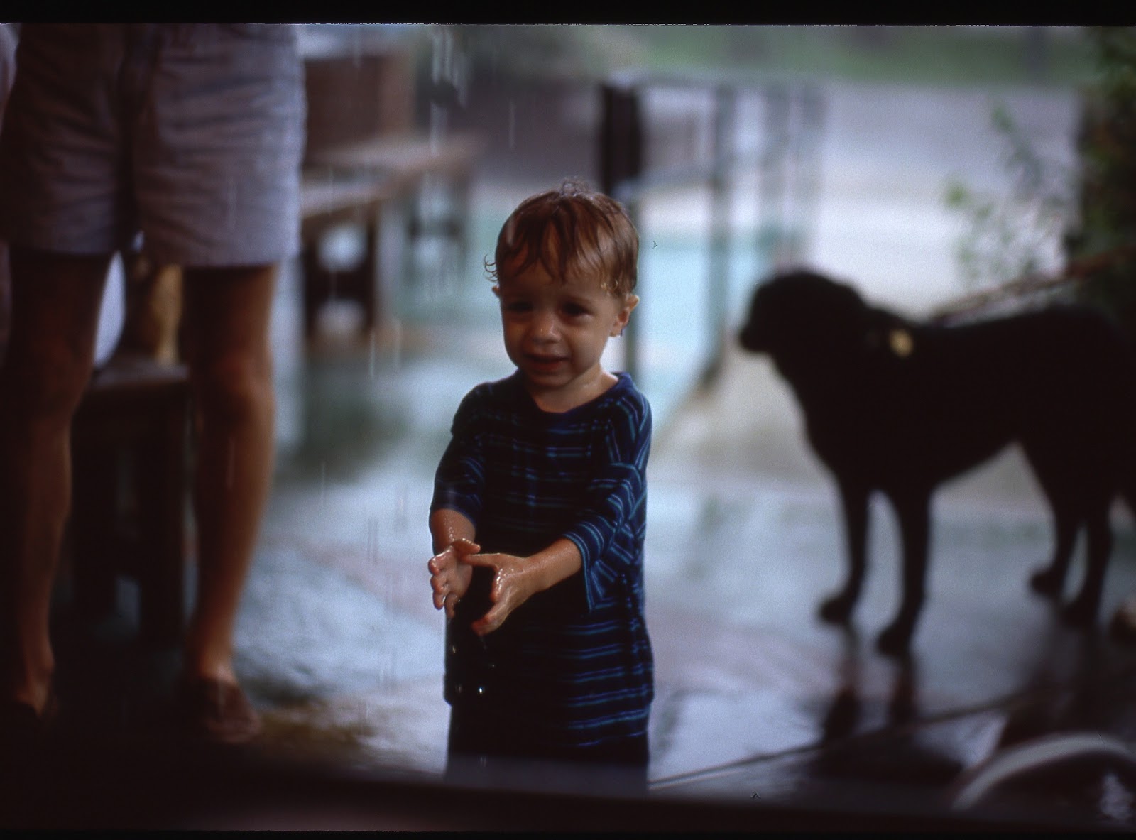 The Visual Science Lab / Kirk Tuck: We've reached the 20 million page ...