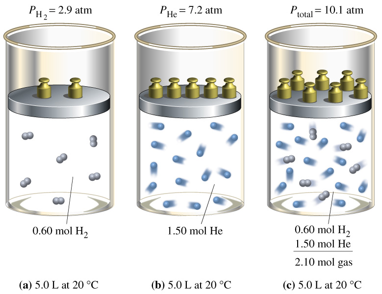 Jennifer Kersey E-Portfolio Bio211: Objective 53: Dalton's Law and ...
