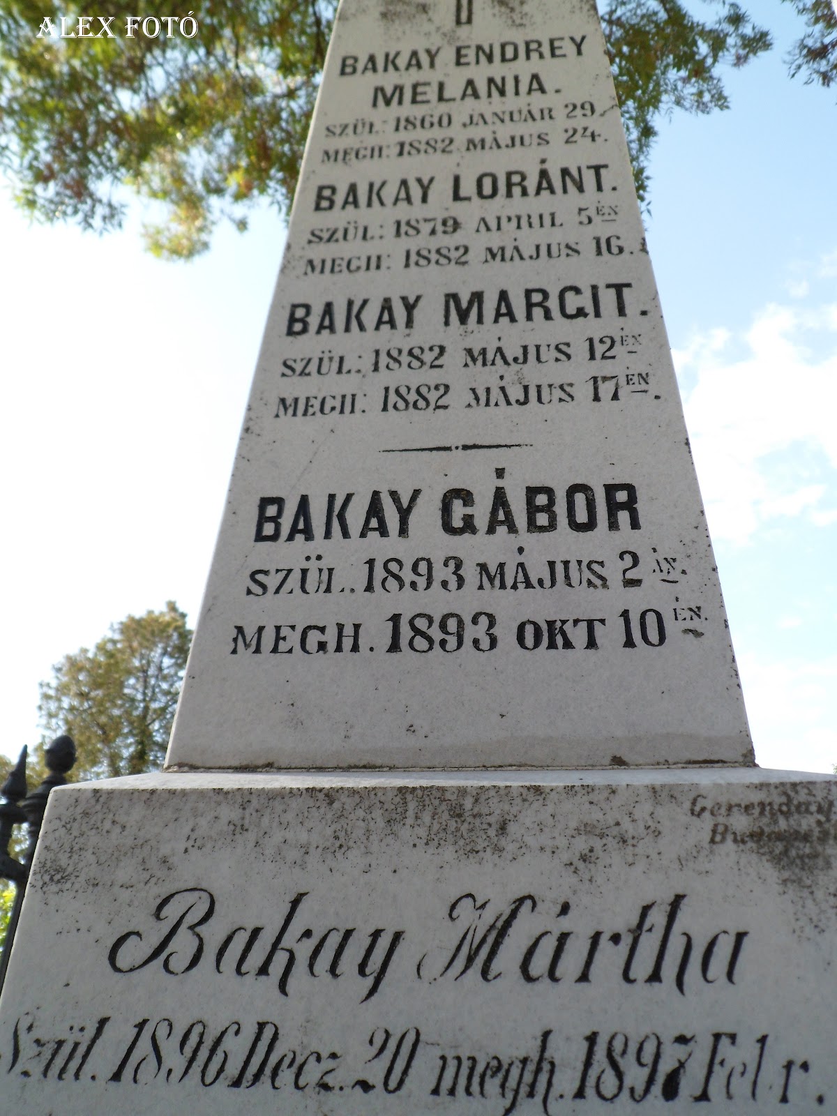 Helytörténetek: Bakay család