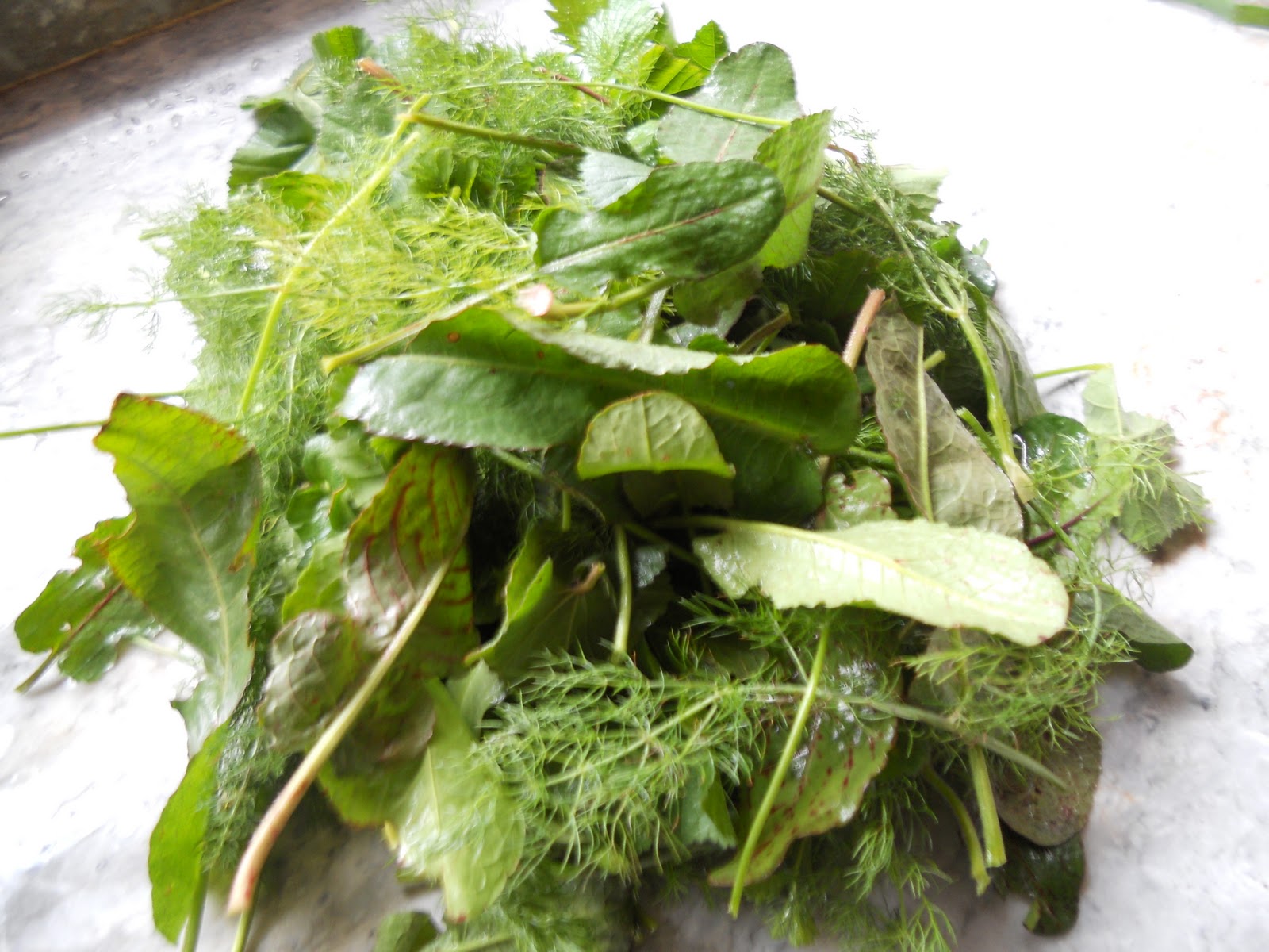 Cheerfulmoon: OT BEREKETİ