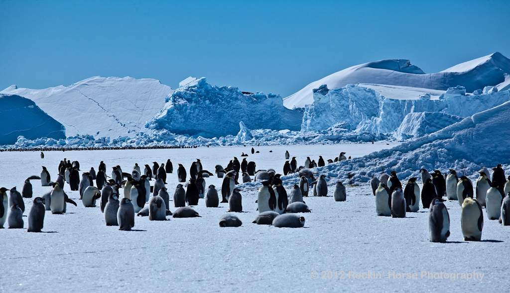 Antarctica - According to a Boilermaker Named Horse: Amanda Bay ...