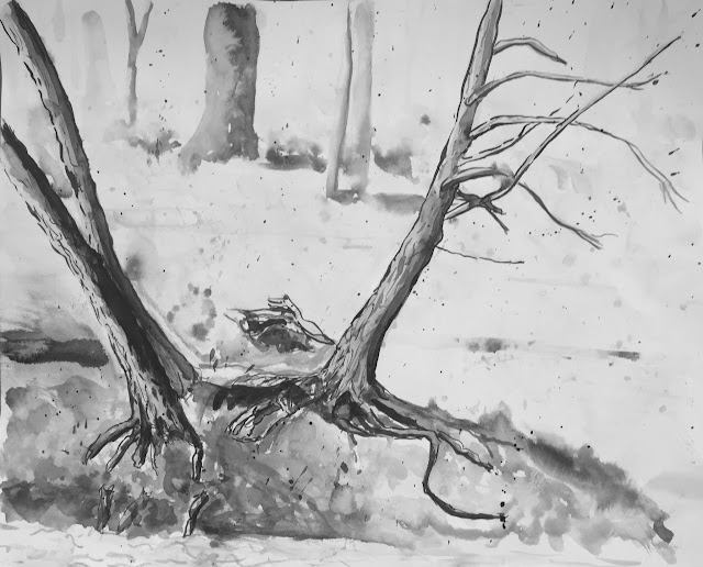 Scribbling With Spirit: Trees in the Wild