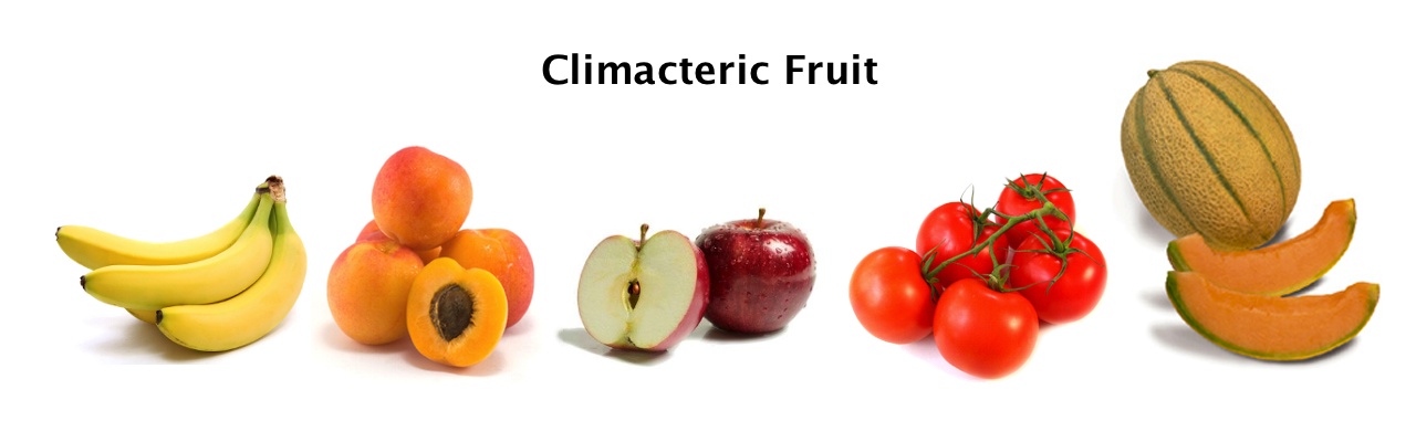 Complementaria I: CLIMACTERIC AND NON-CLIMACTERIC FRUITS