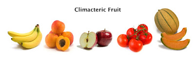 Complementaria I: CLIMACTERIC AND NON-CLIMACTERIC FRUITS
