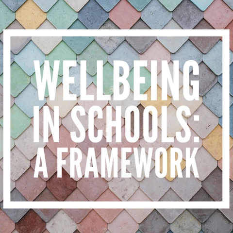 Wellbeing in Schools: A Framework |Aidan Severs - An Education Blog