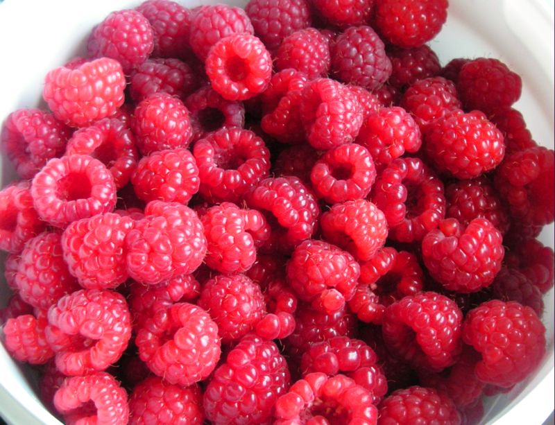 Herkkusuun lautasella Ruokablogi: Vadelmia avokadovaahdossa