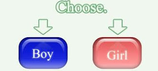 Selecting The Gender of Your Future Child - Food to eat to conceive a girl