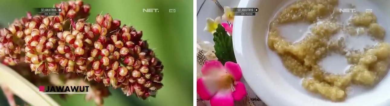 Let's Talk About Food