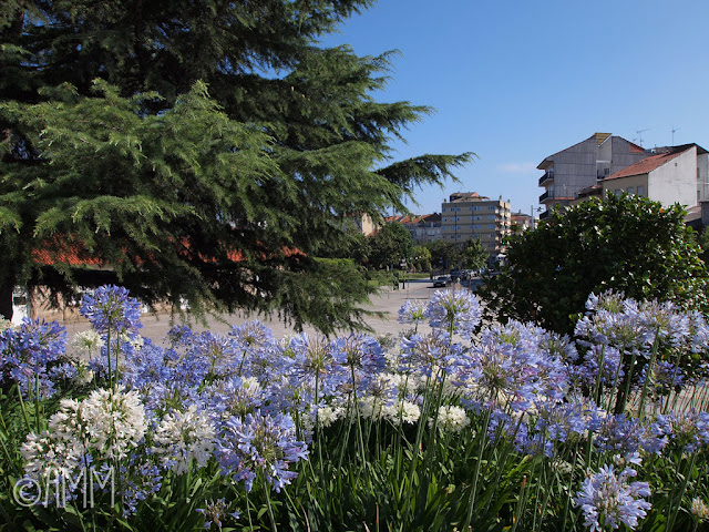 Spanish Gems: Monforte de Lemos in Galicia