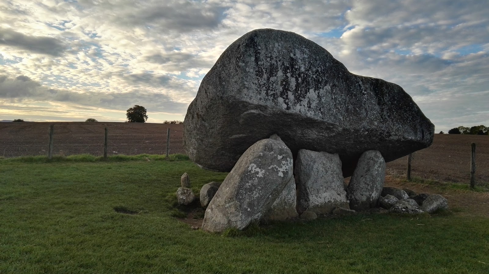 Irishography: 30. Carlow - Brownshill Dolmen