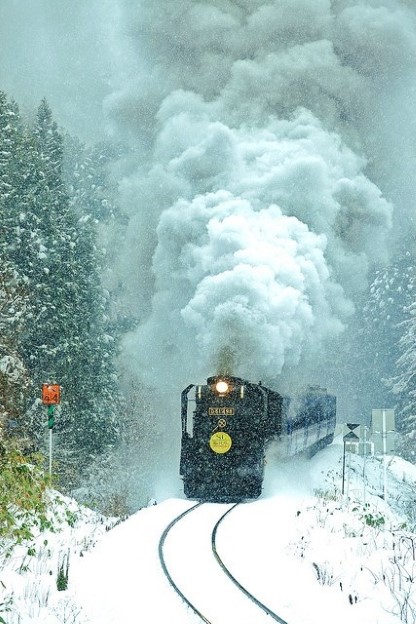 12 Amazing Sceneries of Beautiful Trains