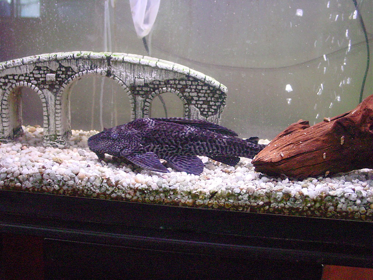 The Real Leopardstripes: Updates, and a mini-tute: Roll-Up Storage for ...