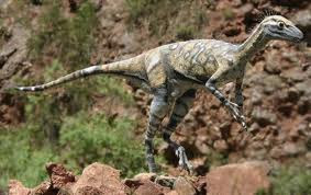 Haiwan Telah Pupus: 9 Fakta Yang Menarik Tentang Dinosaur