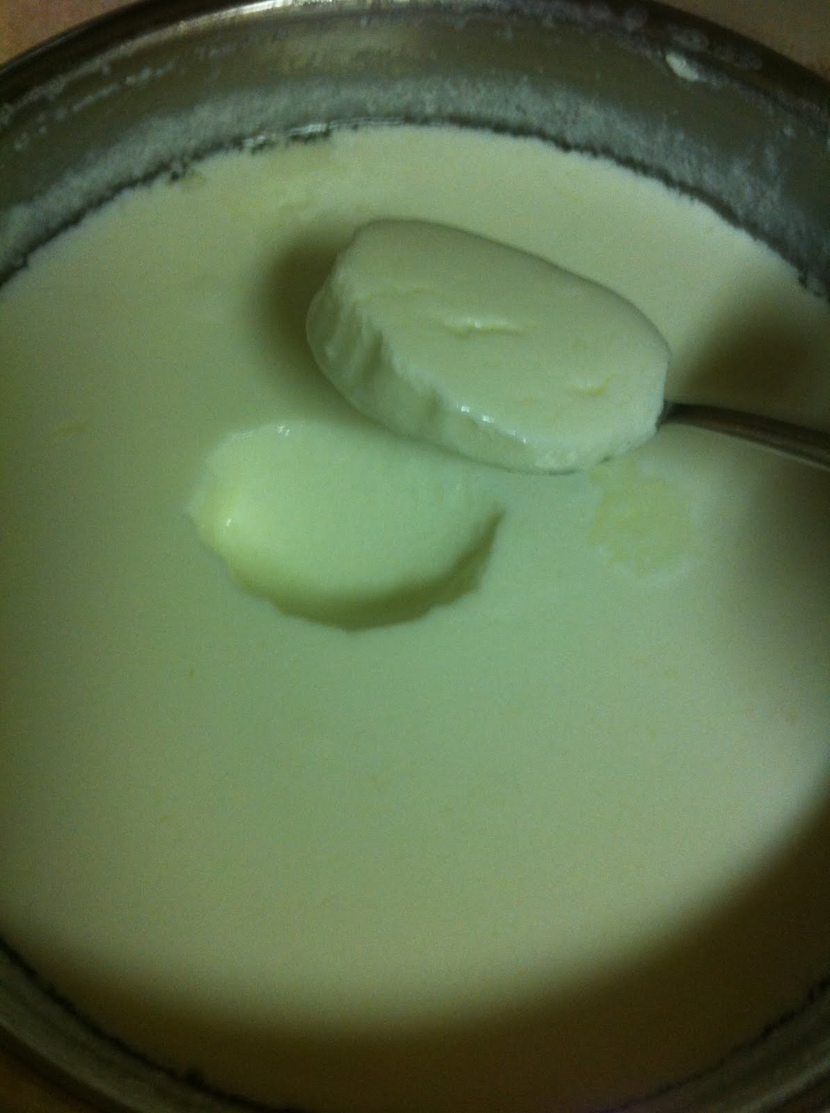 Bhibik ya NehNeh: Homemade Yogurt/ Laban