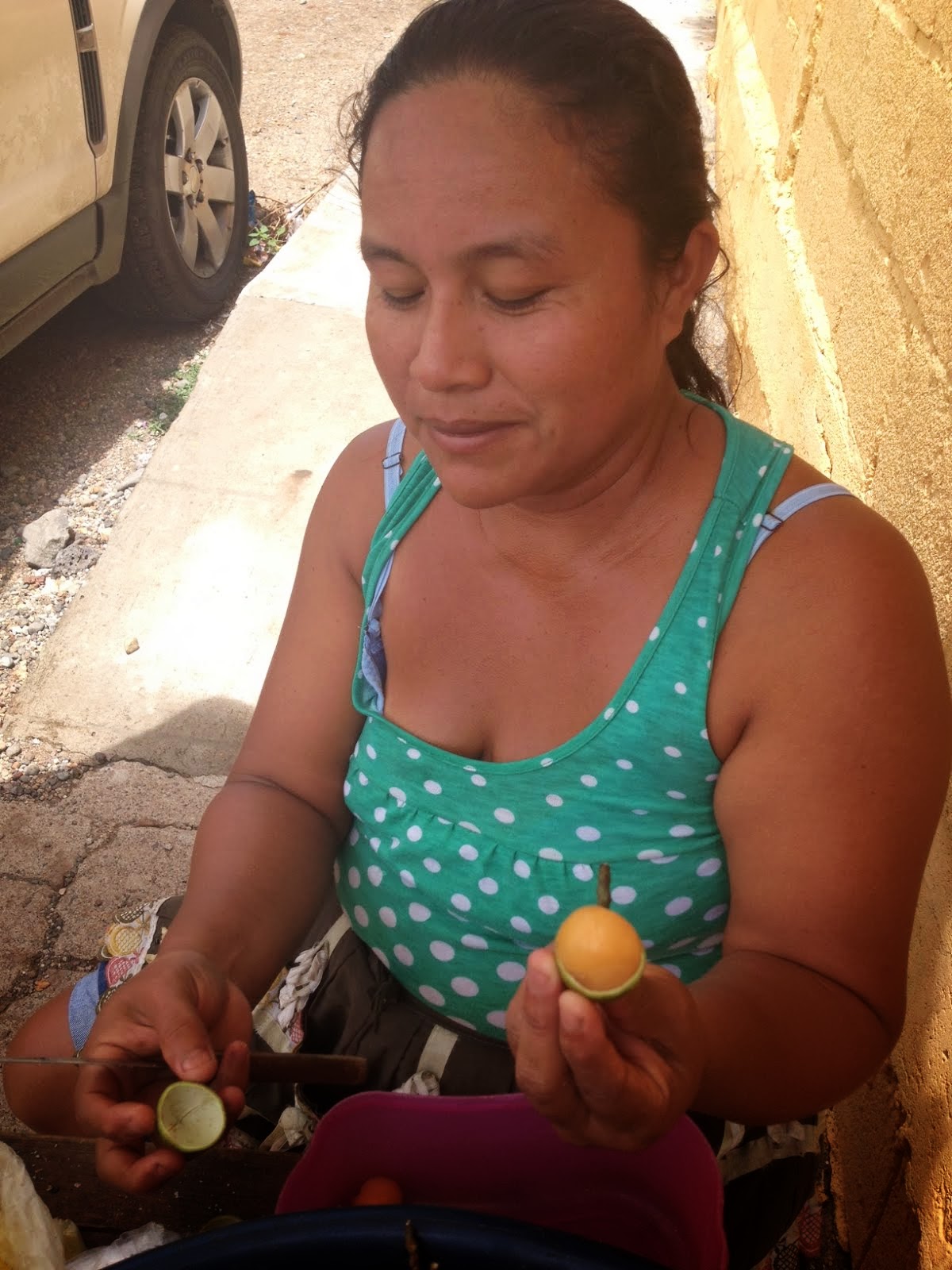 Guatemalan Genes: Talpas - Fruit