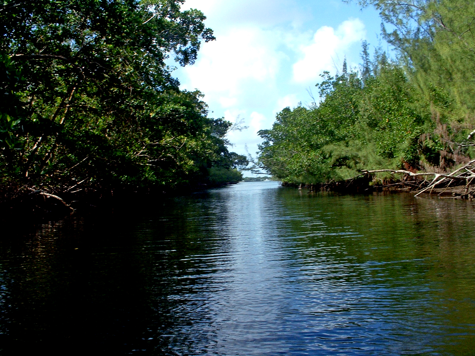South Florida Guy: Kayaking Oleta River State Park - North Miami