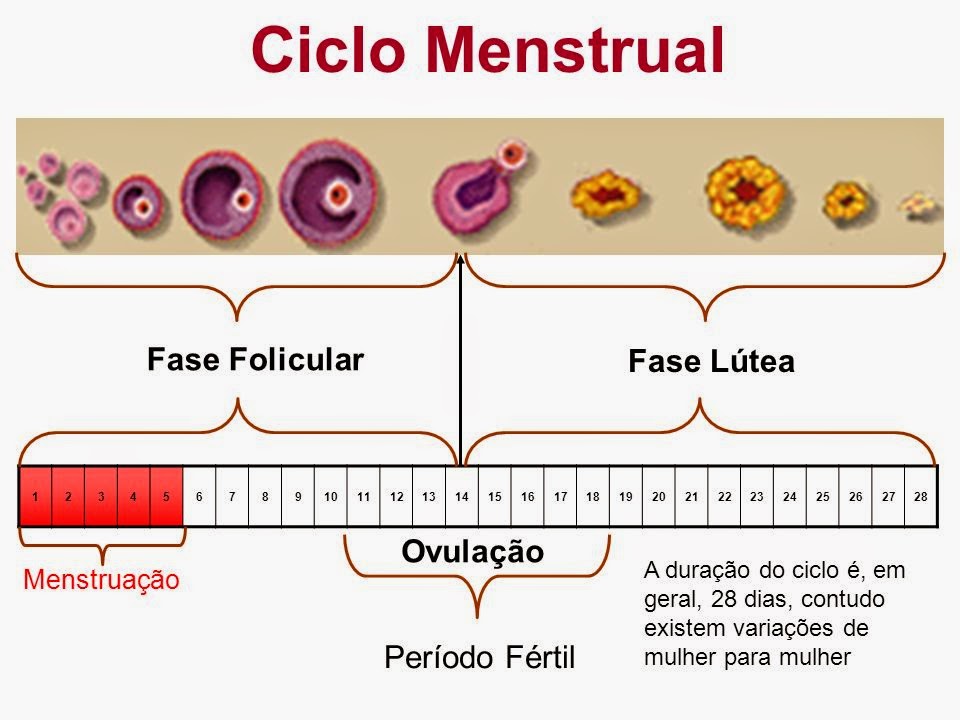 Tá Sabendo?!: CICLO MENSTRUAL