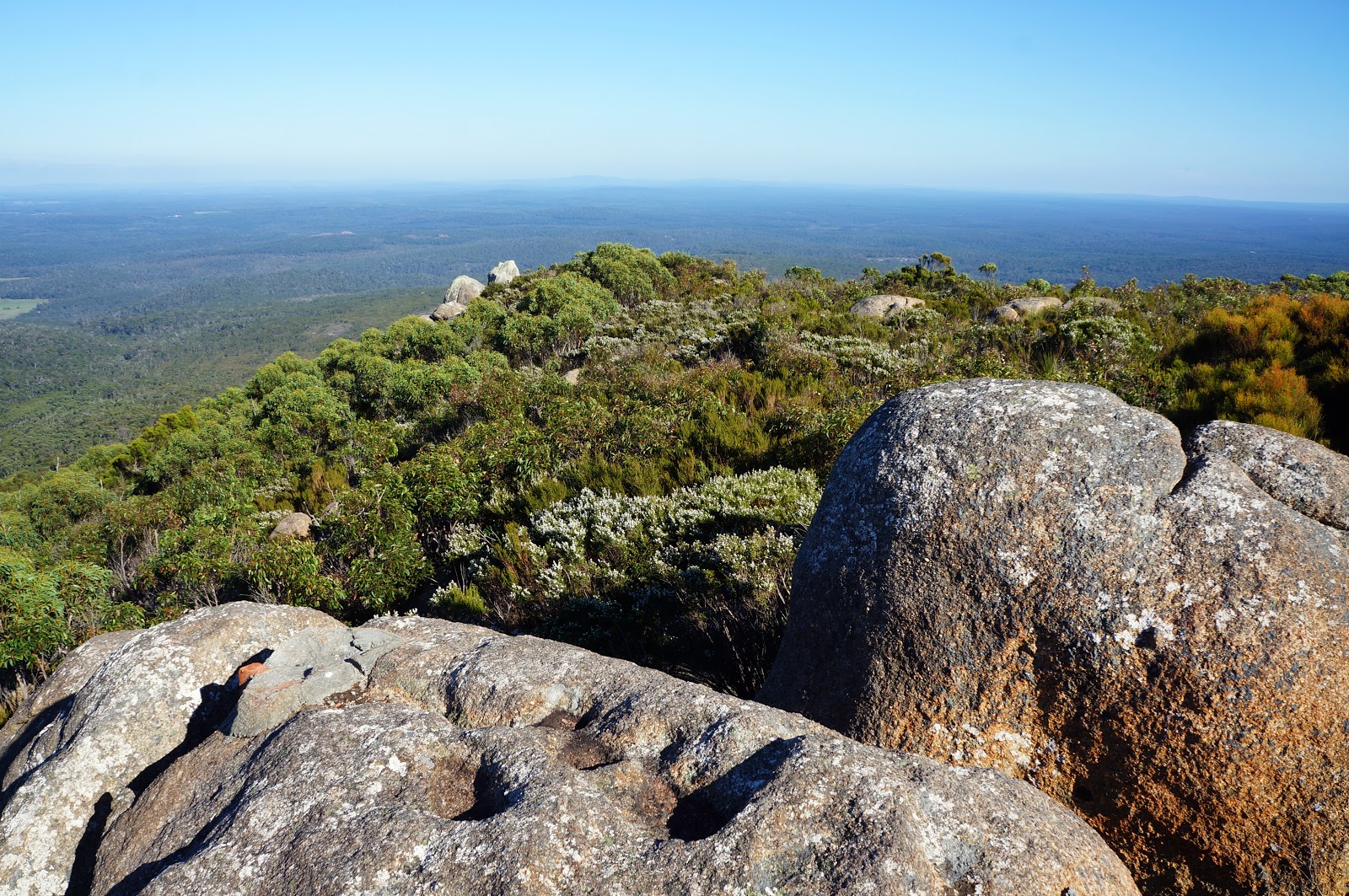 Mt Lindesay Walk Trail (Mt Lindesay National Park) ~ The Long Way's Better