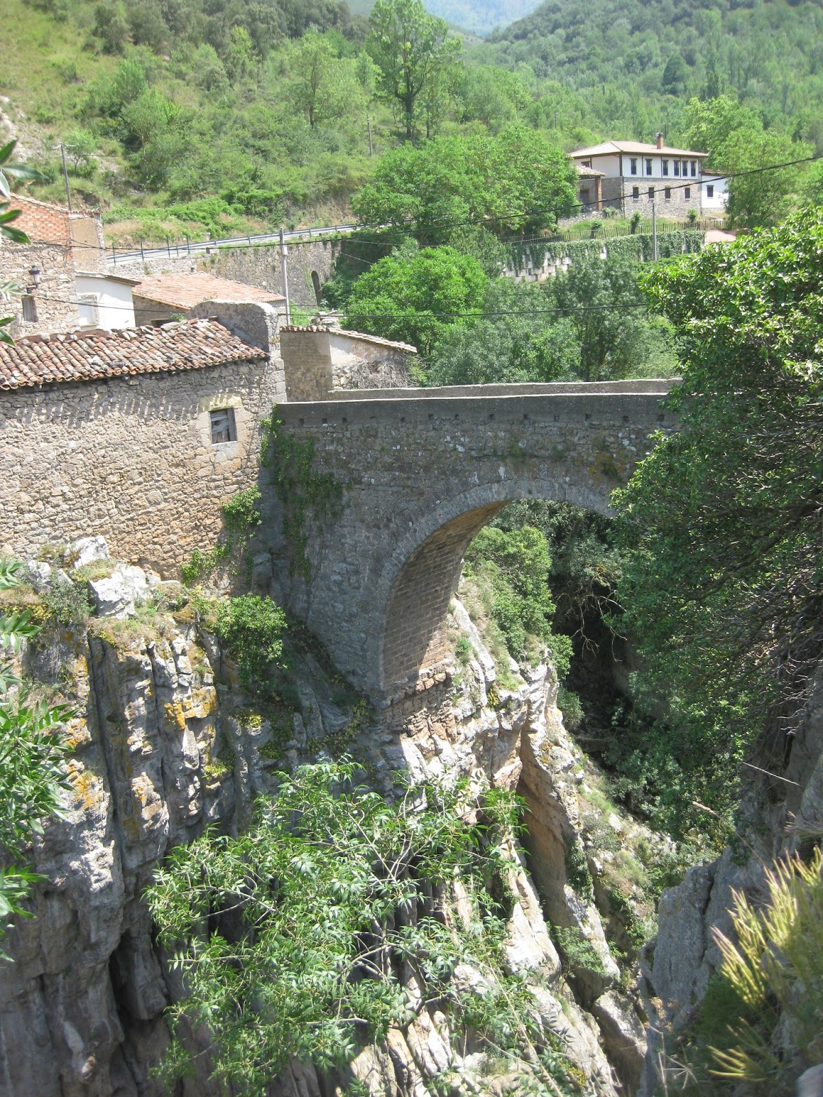 Los álamos dorados: Anguiano