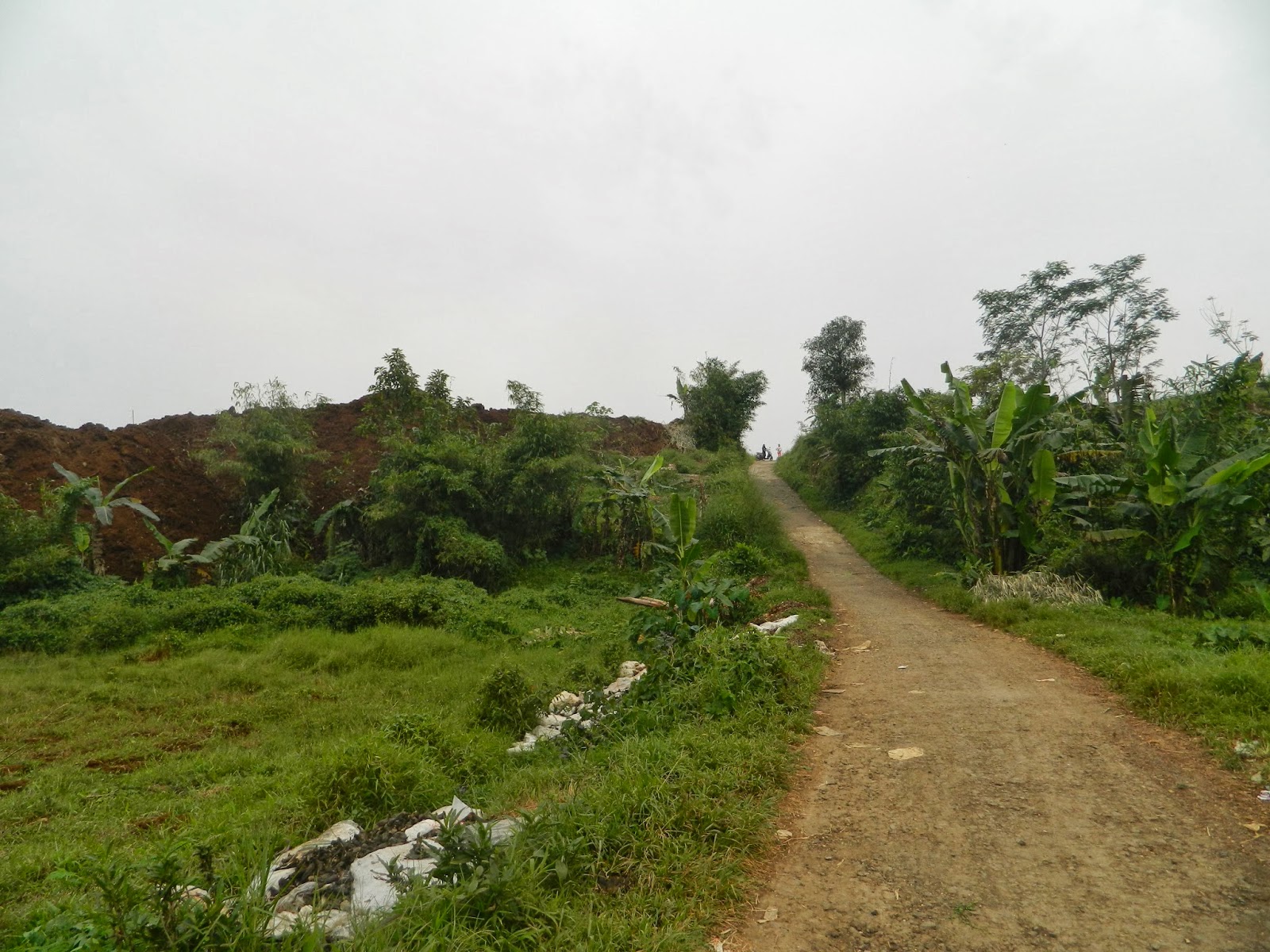 PURI ARRAYA (satriawanj82): PURI ARRAYA ....CIAMPEA BOGOR BARAT