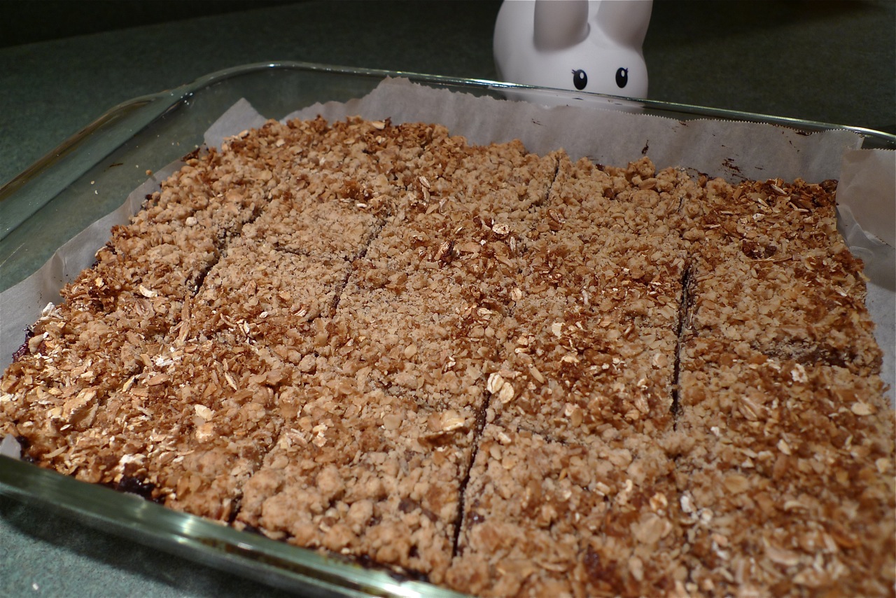 Year of the Labbit: Labbits Like: Date Squares