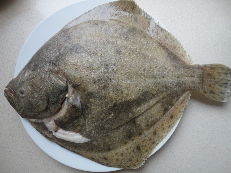 COCER & CANTAR : Rodaballo salvaje del Cantábrico al horno