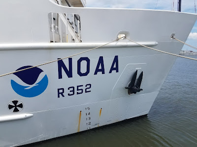 The Nancy Foster Chronicles