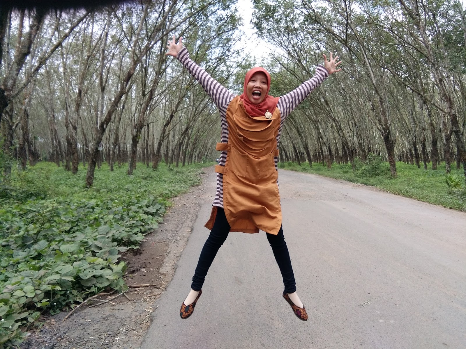 Kebun Karet Trikora, Lampung