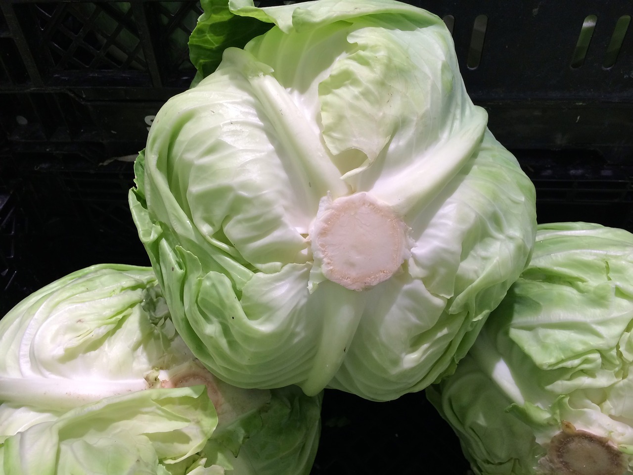 History of food: 5 interesting facts about Cabbage