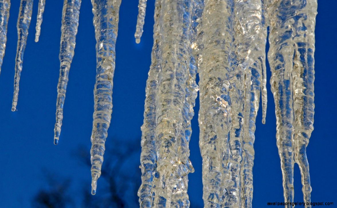 Icicles | Wallpapers Gallery
