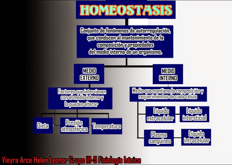 Fisiología Básica: Mapa mental, mapa conceptual, homeostasis ...