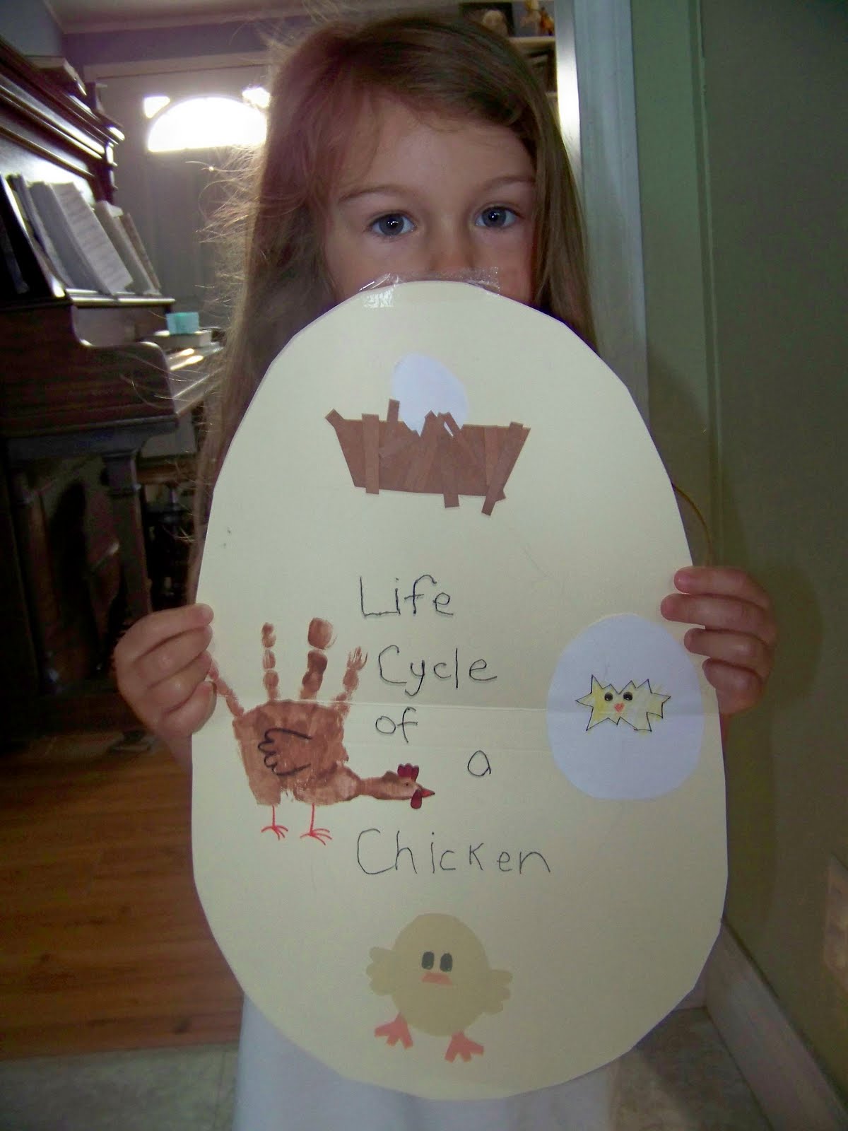 My Four Girls: Life Cycle of a chicken for preschool