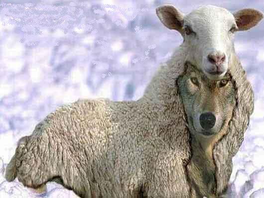 TMCiudad: FALSOS PROFETAS Y MAESTROS. (1 de 4)