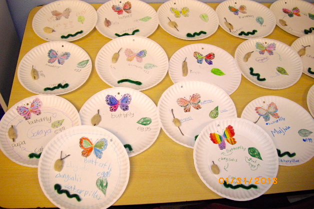 Art & Painting at WBR school: 1st grade Life cycle of the Butterfly
