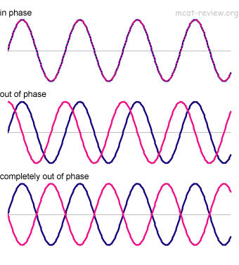 What is the difference between phase and polarity