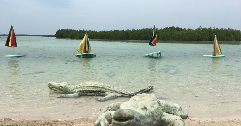 Olango Island - Things To Do and How To Get There