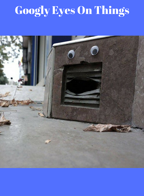 Googly Eyes On Things | My Crazy Email