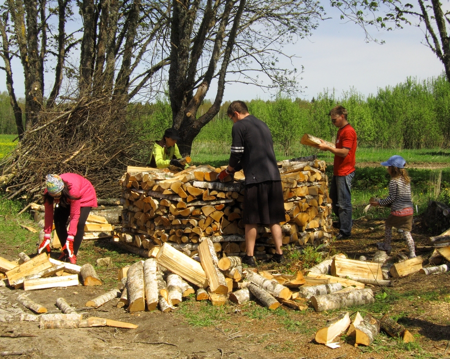 Jan Vutt fotogalerii: Puuriida ladumise talgud Põhjaka mõisas