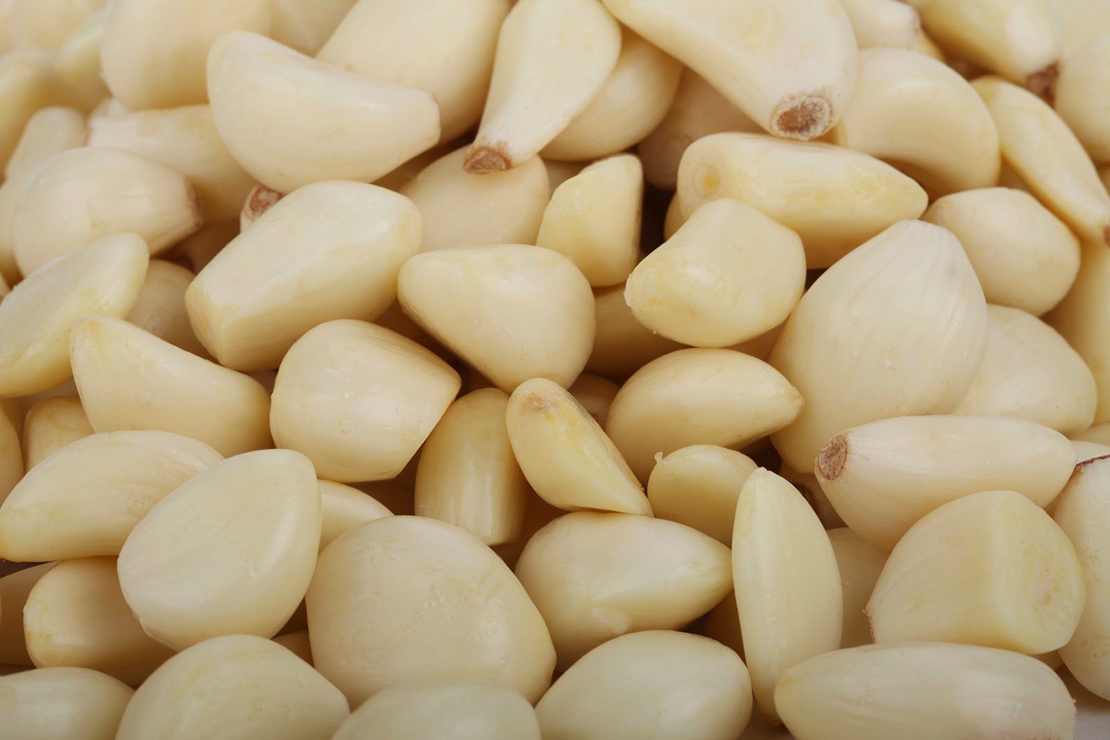 AJO PELADO: TODO ACERCA DE AJOPEL COLOMBIA