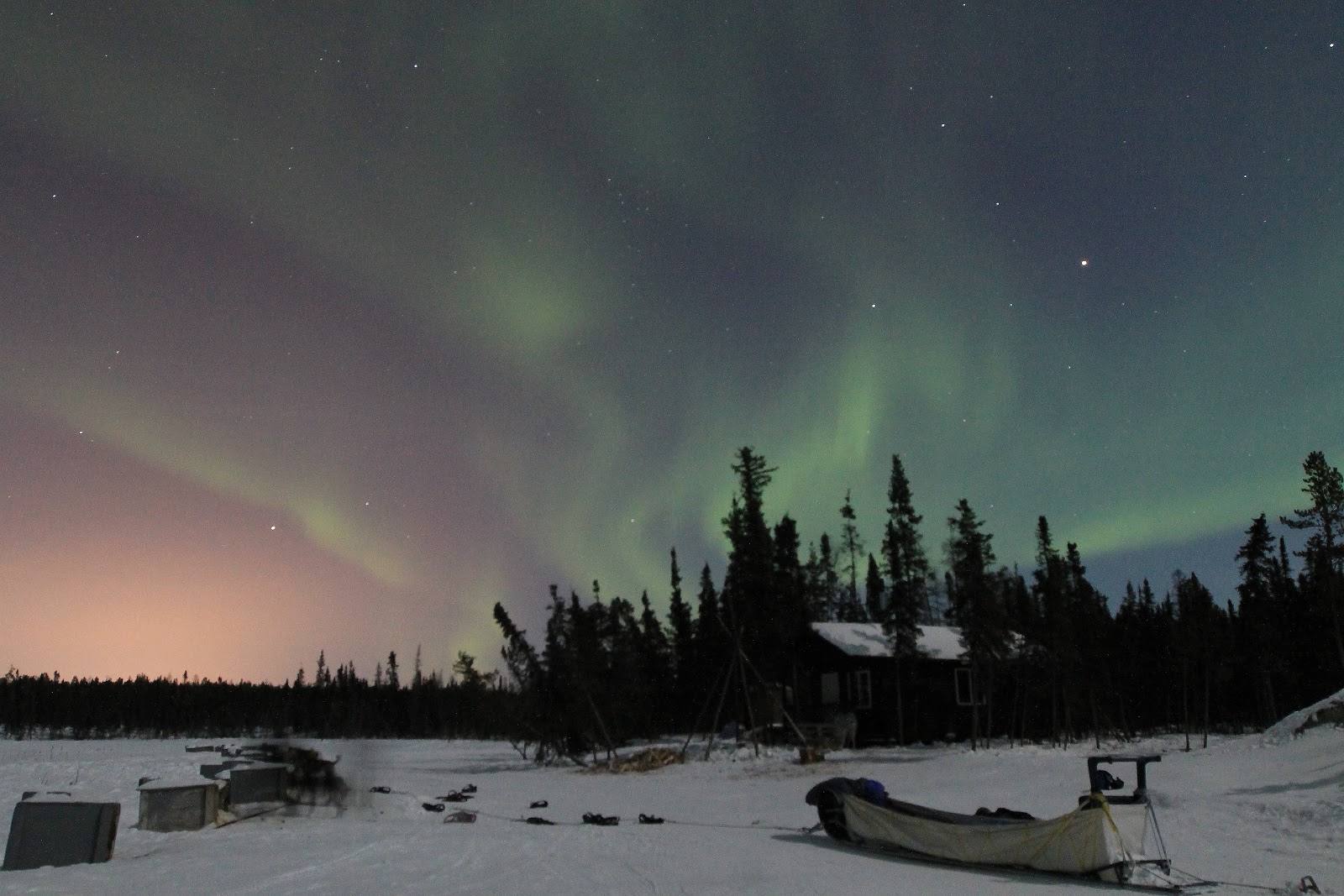 by SHANNON LEE: Dog Sledding Under the Aurora Borealis