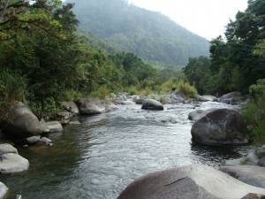 ECOSISTEMAS DE COSTA RICA: BOSQUE RIBEREÑO