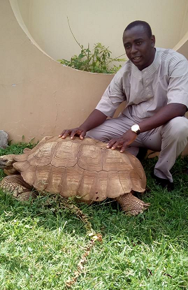 New Photos Of Alagba The Oldest Tortoise In The World Living At Soun Of ...