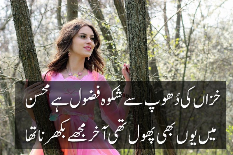 Flowers Poetry | Romantic Phool Shayari in 2 lines | Urdu Poetry
