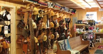 Equestrian Accessories Store For Rider And The Horse - biographypedia